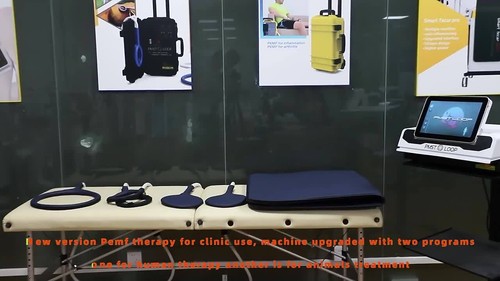 PMST LOOP PRO MAX Pemf Magnetic Therapy Device Body Pain Relief ...