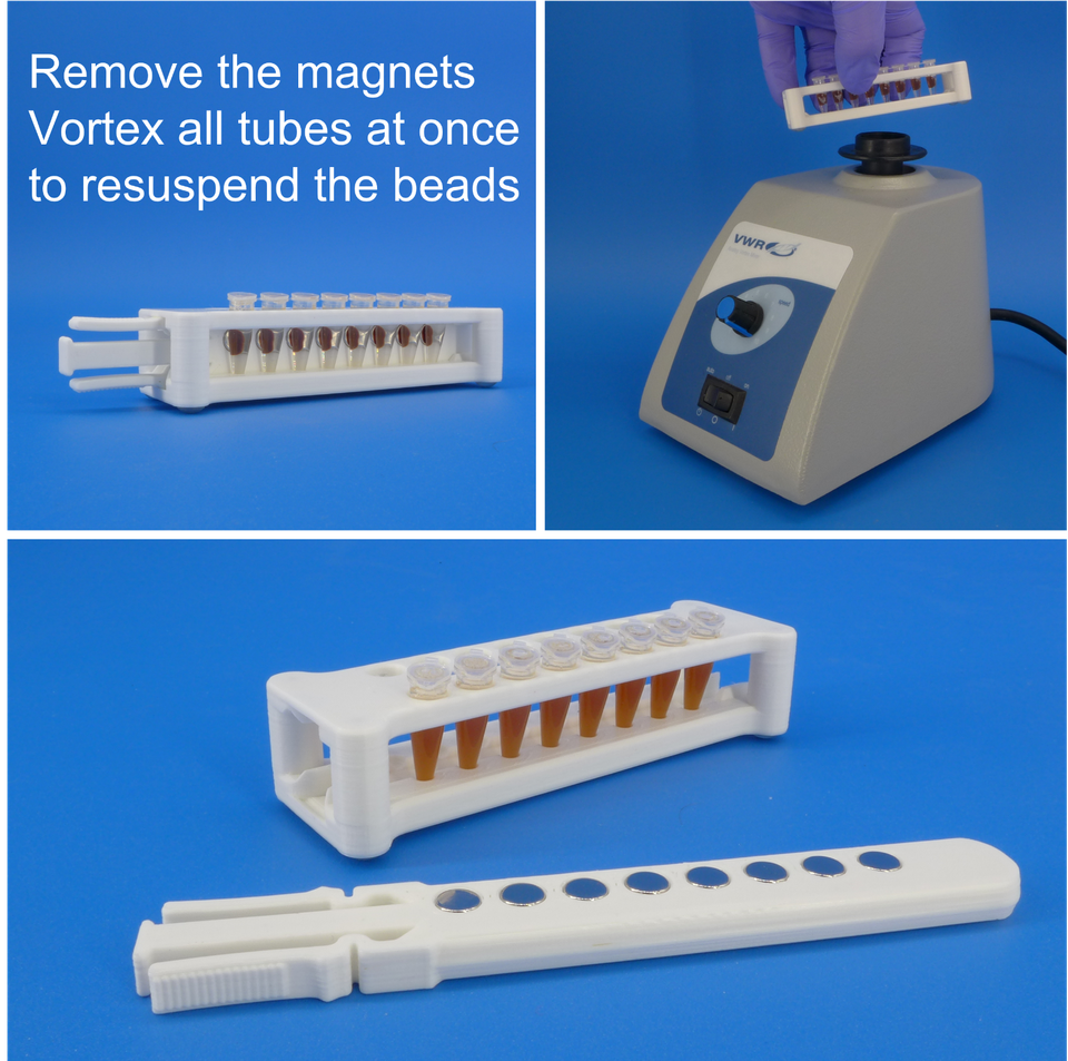 Magnetic rack for DNA, RNA, protein purification, for PCR tubes (100 ...
