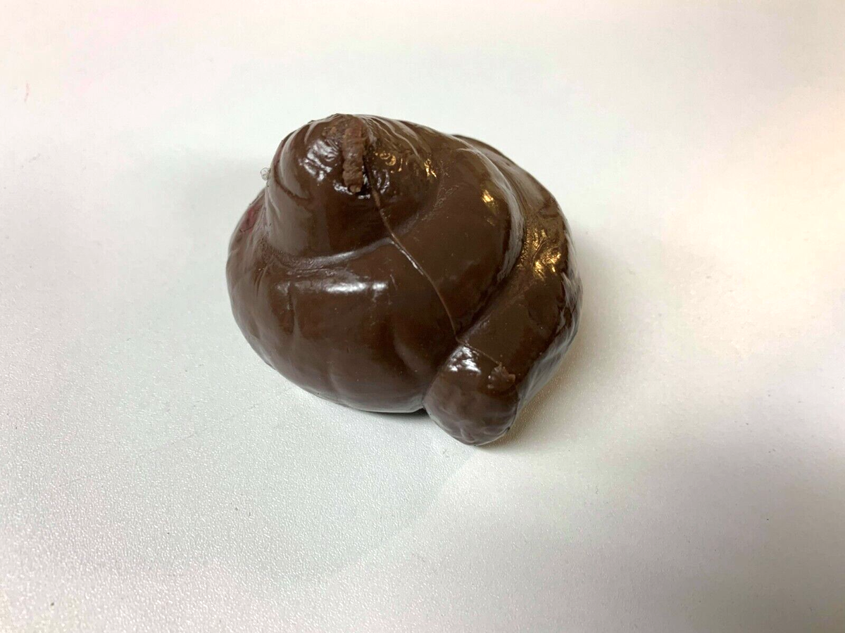 Gross Pictures Poop Funny Prank Fake Poop Turd Crap Poo Gross Joke