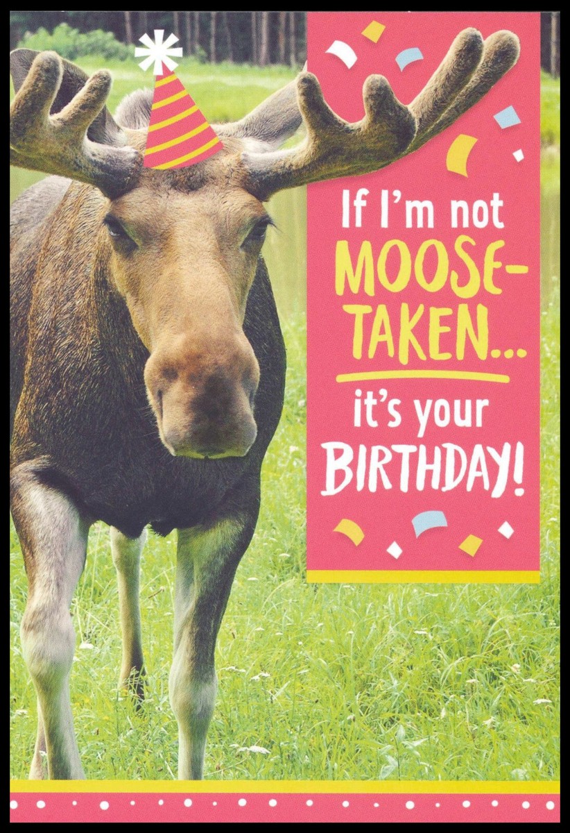 Funny Hunting Birthday Memes Turkey Bowhunting YouTube