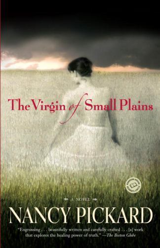 Virgin of Small Plains : A Novel by Nancy Pickard (2007, Perfect) for ...