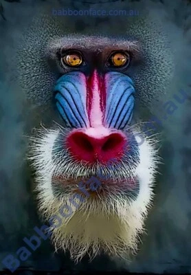 Bobcat Hydraulic Drive Motor Seal Kit OEM | Grelly UK