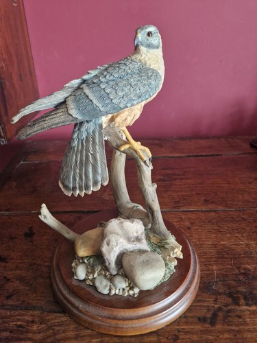 Country Artists "Merlin" Bird Of Prey Figurine | eBay UK