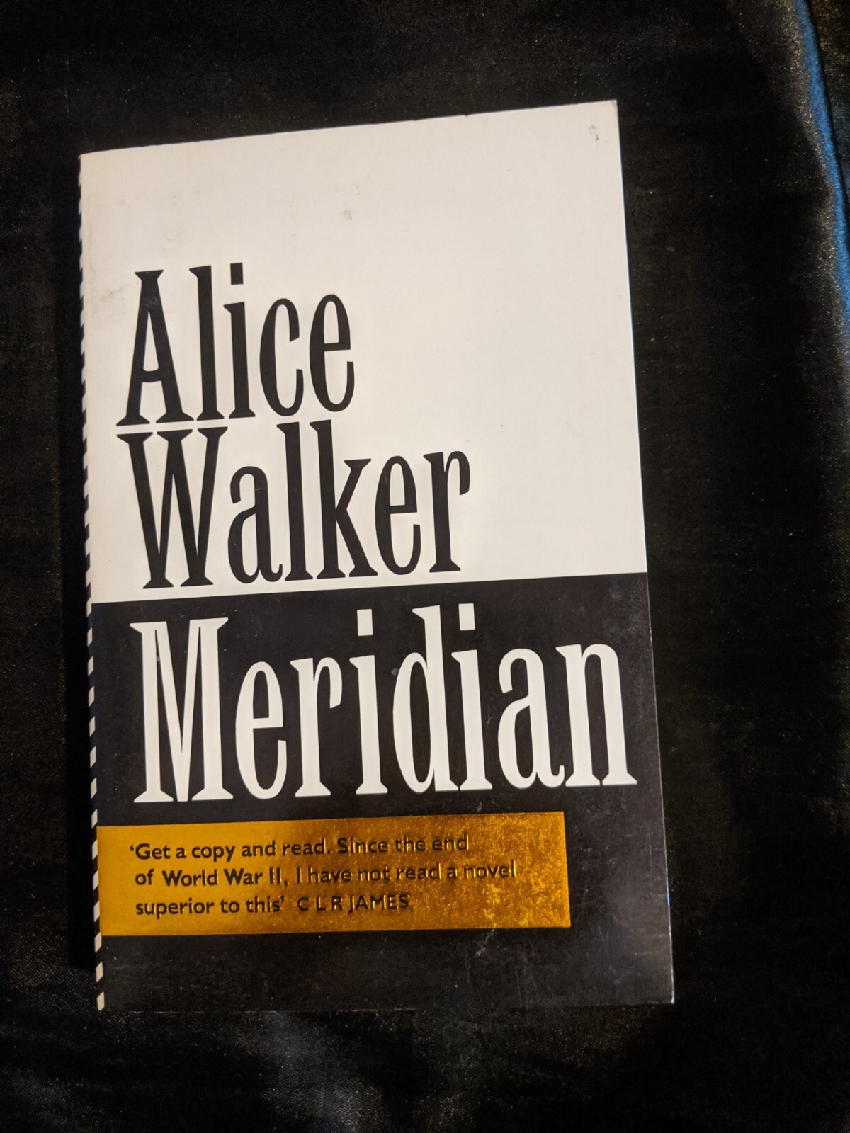 Meridian by Alice Walker B002afsabe The Fast for sale online | eBay