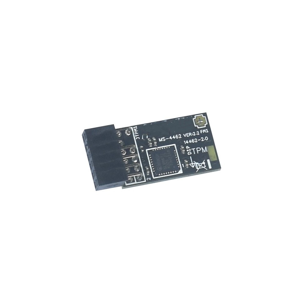 TPM2.0 Motherboards Module TPM SPI 12Pin Module with SLB 9672 for ...