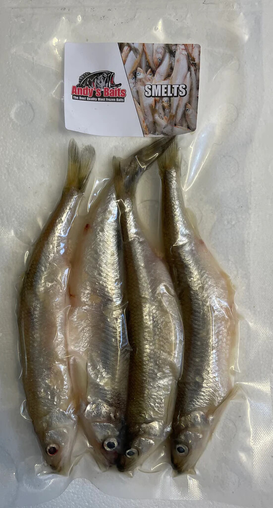 Smelt - Frozen Dead Baits for Pike Fishing | eBay UK