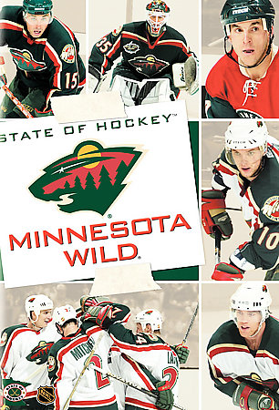 NHL Minnesota Wild: The State of Hockey (DVD, 2004) for sale online | eBay