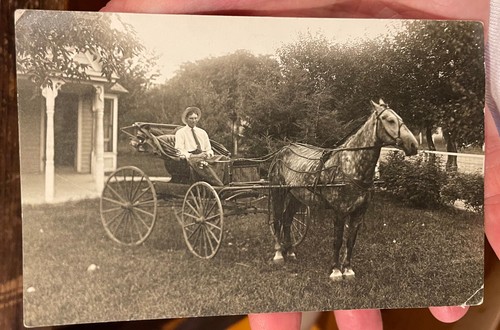 RPPC Frederick & Caroline Hurlbutt Son Horse Buggy Galva Twp, Henry, IL ...