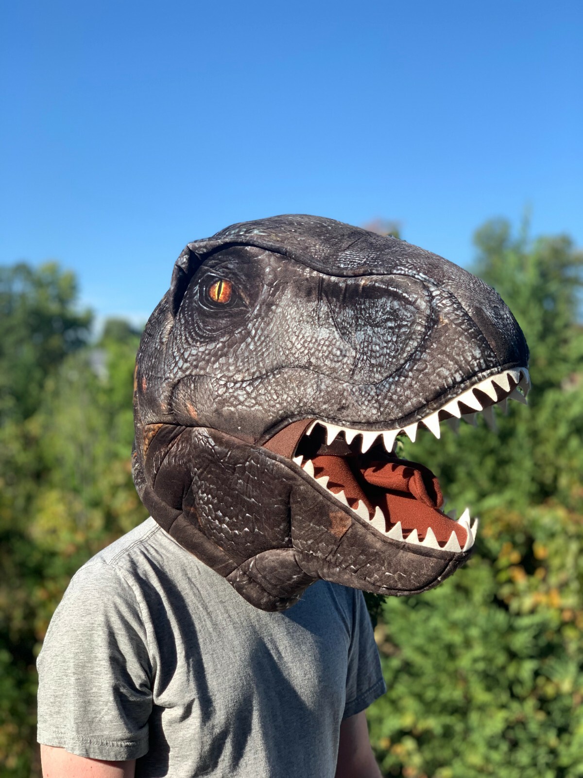 Jurassic World Dinosaur Head Mask Plush Soft Costume … - Gem