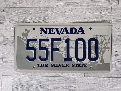 Vintage 90s NEVADA LICENSE PLATE "55F100" 1955 Ford F100 Custom | eBay