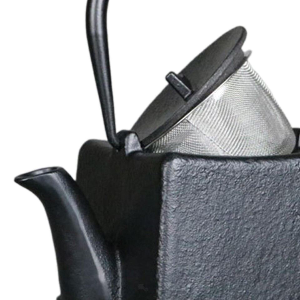 Iron Teapot with Strainer Holiday Gifts Practical Tea Making Pot ...