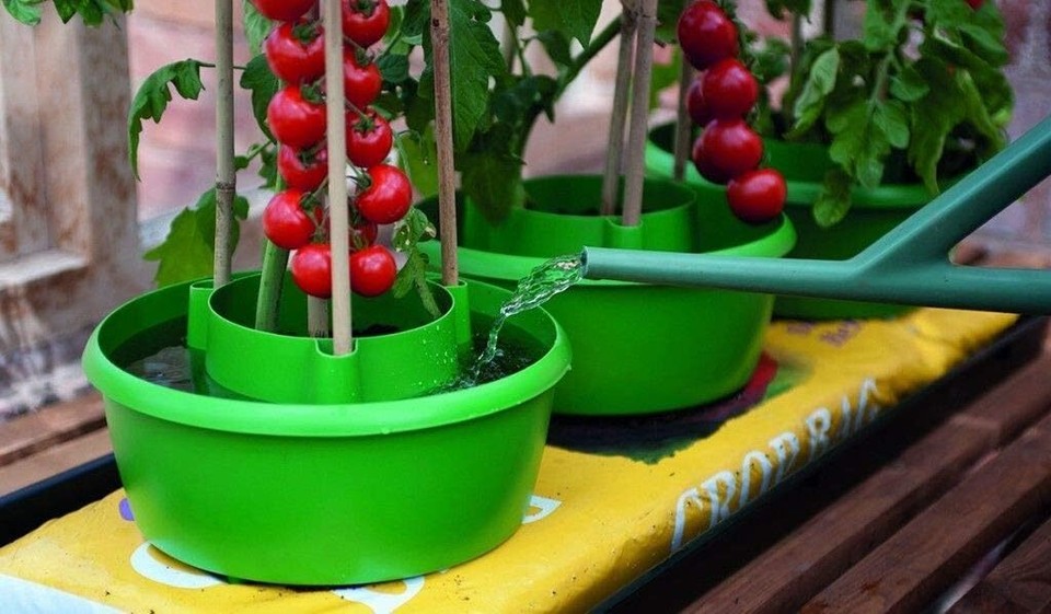 Tomato Plant Halos Pot Grow Bag Watering Plastic Round Tomatos Seed ...