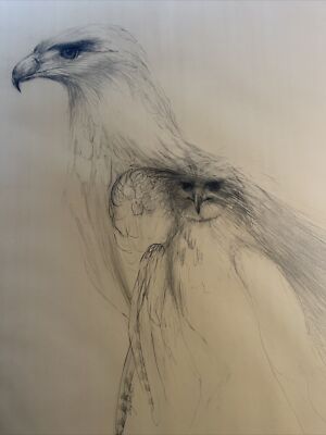 Larry Fodor Drawing Eagle Owl Bird Large 35 By 44 Inches Listed ...