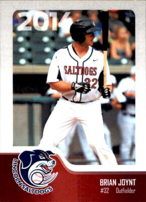 2014 Lincoln Saltdogs Team Issue #13 Brian Joynt Knoxville Iowa IA ...