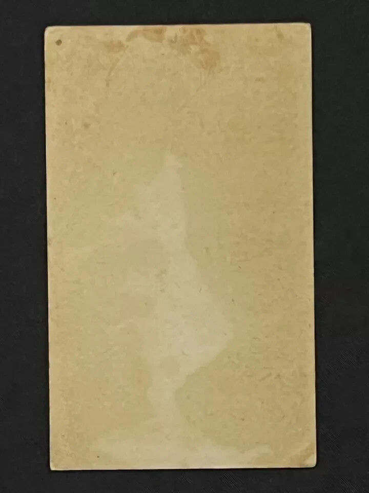 CDV William Almon Wheeler Vice President Hayes Adm. US Representative ...