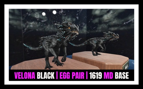 ARK Survival Ascended PvE VELONA VELONASAUR 1619 MD BASE Top PC/XBOX ...
