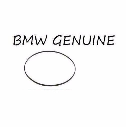 Genuine BMW OEM 12317507996 Gasket Ring F Alternator Water-cooled for ...