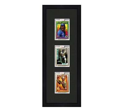 Card Frame Display three openings to fit P70, Project 2020 or Project ...