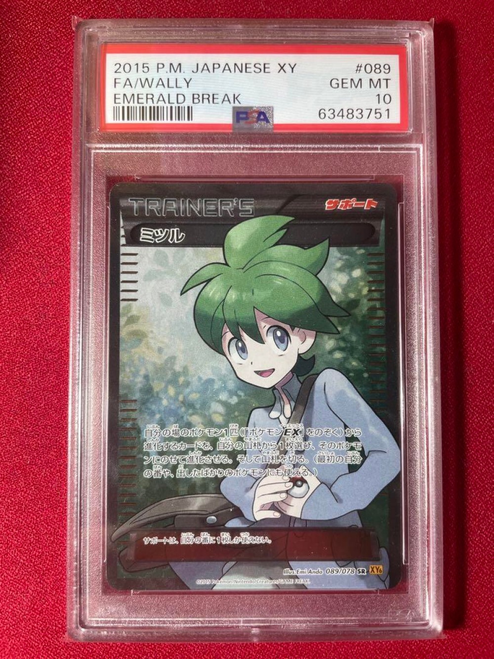 Pokemon Card Wally XY6 089/078 SR Japanese Good Trainer's 1st Edition ...