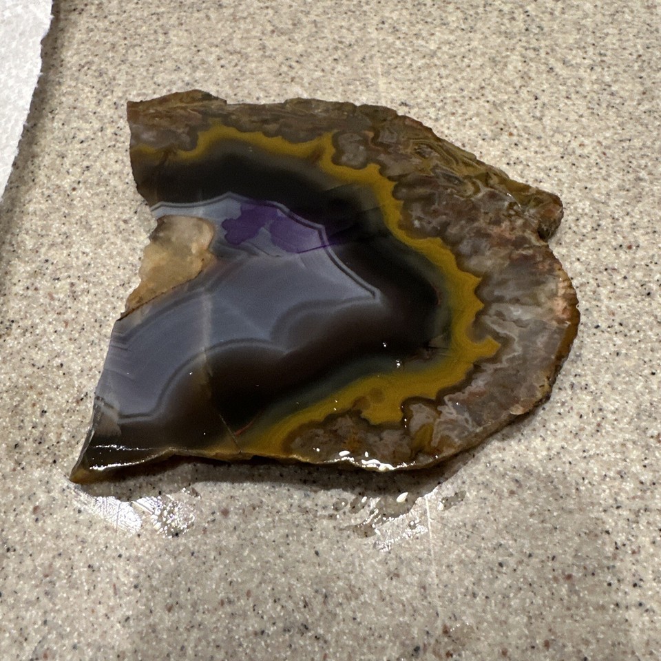 Very Rare! High Quality Kentucky Agate | eBay