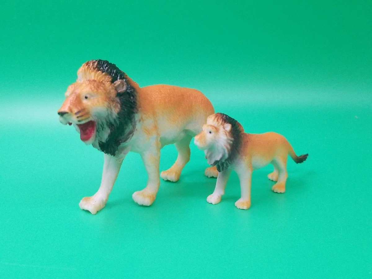 Baby African Lion