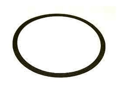 Bell & Gosset P04080, Body Gasket NFI, BI, AB, BNFI, For Model 106189 ...