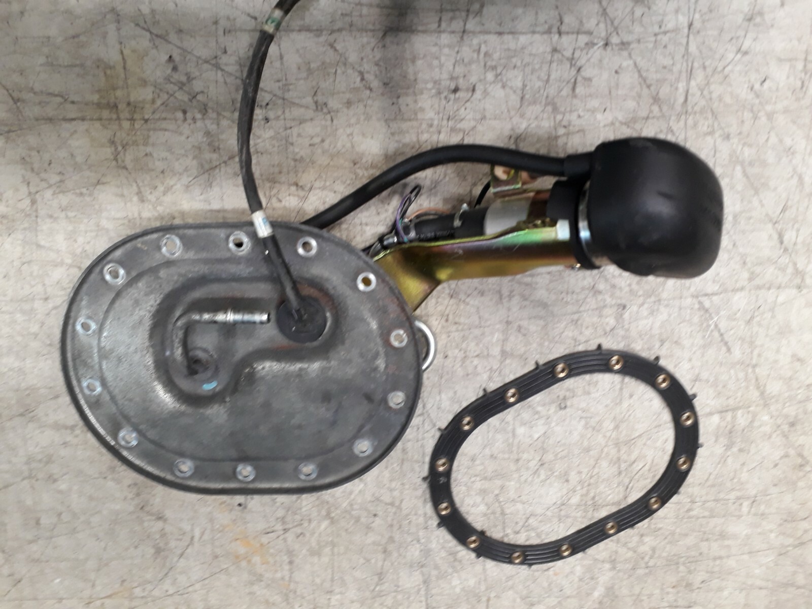 TRIUMPH AMERICA, FUEL PUMP TESTED 'FREE POST' # T622-T48 | eBay