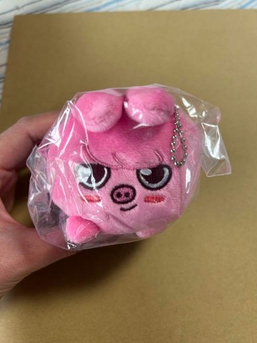 Stray Kids Skzoo DWAEKKI Changbin Mini Bag Charm Official Mascot plush ...