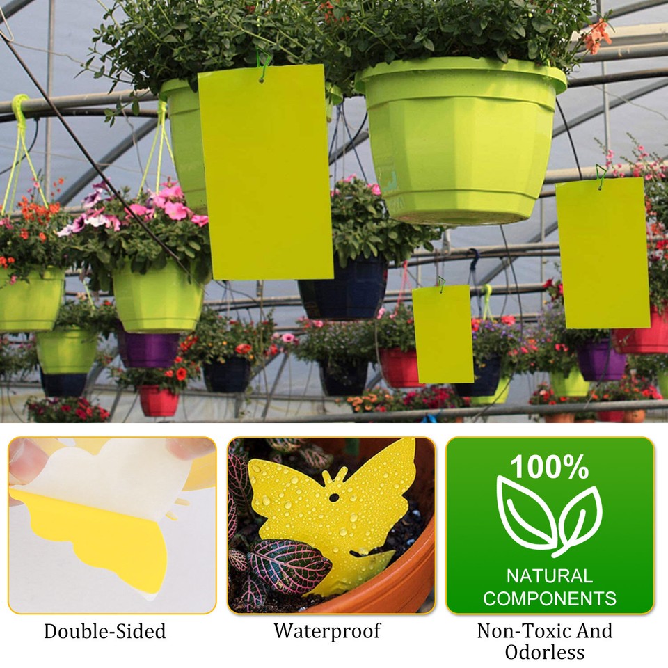 Sticky Fly Glue Trap Yellow Paper Trap Fruit Flies Insect Mosquitoes ...