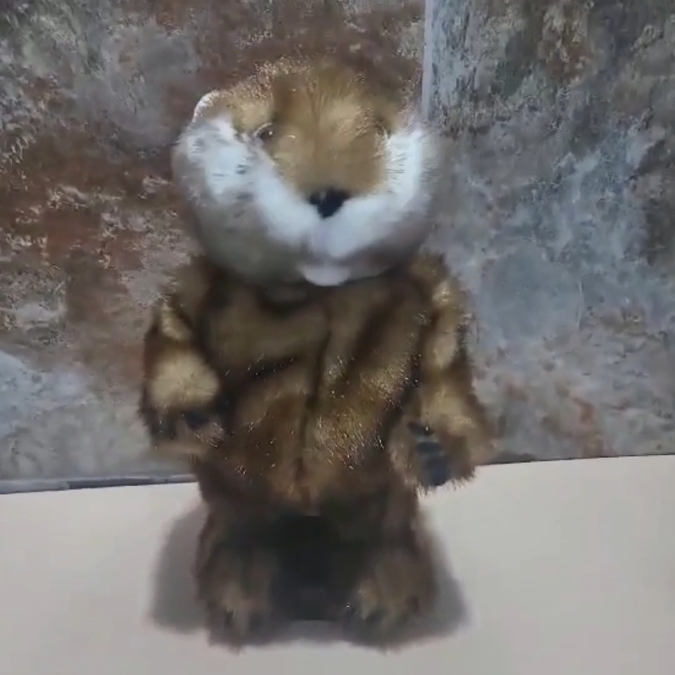 Gemmy Caddyshack Dancing Gopher Plush Toy Singing Moves Head Doesnt ...