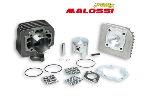Gruppe Thermisch MALOSSI Ø 47 IN Gusseisen Mit Bolzen Ø 10 Rizzato ...