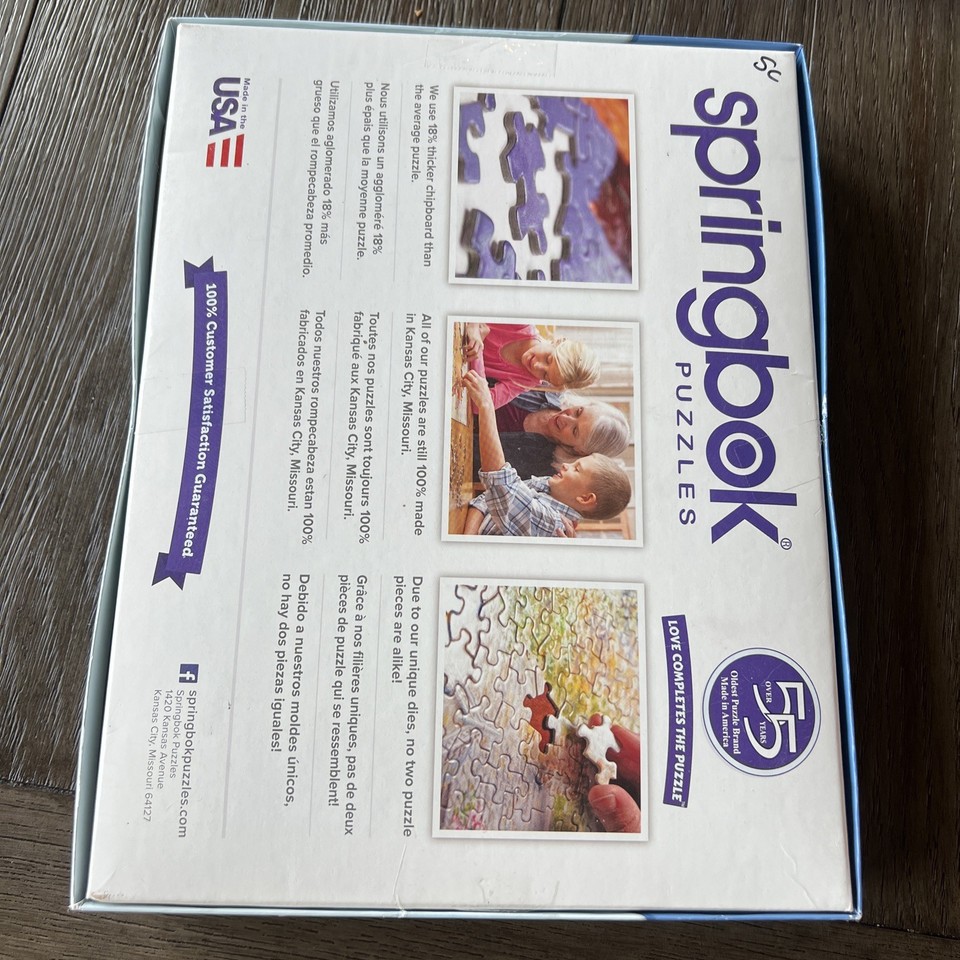 Springbok GROOVY RECORDS 1000 Pc Jigsaw Puzzle Vintage Music Albums ...