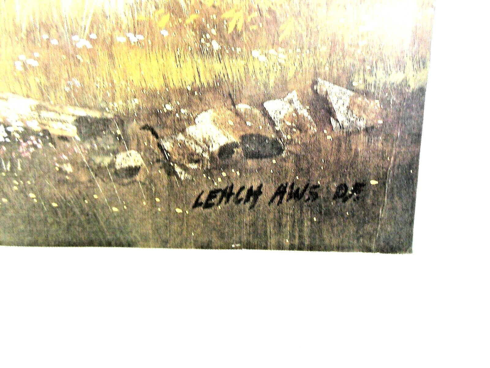 U.S. COMMEMORATIVE FINE ART GALLERY EAGLE'S RIVER PRINT FRED LEACH AWS ...