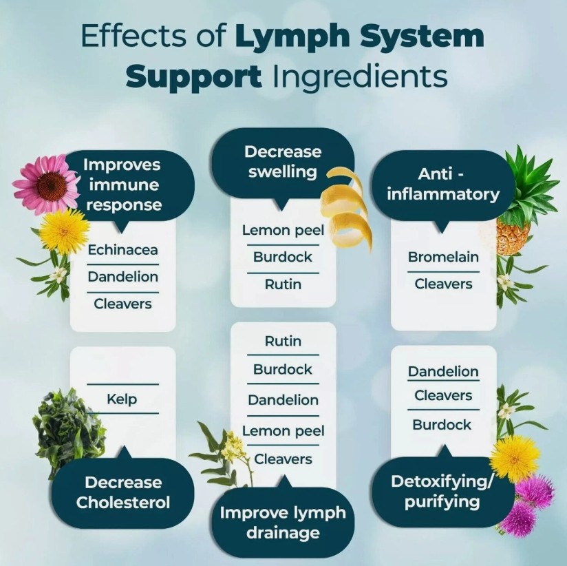 Lymph Detox PureHealth -Reduce Swelling, & Cleanse Support Research ...