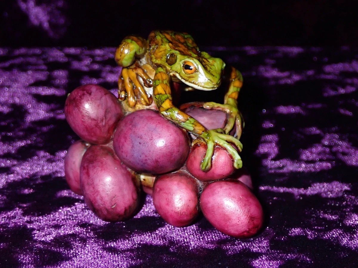 Grape Dart Frog