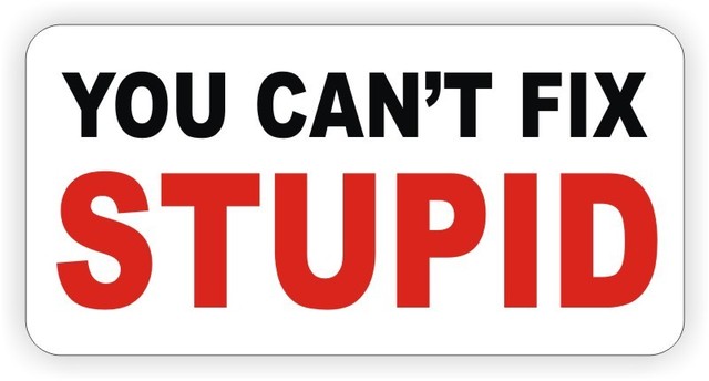 You Cant Fix Stupid Funny Hard Hat Sticker \ Decal Label \ Laborer ...