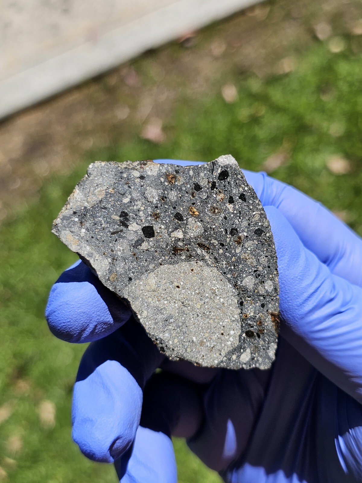 Meteorite**NWA 16792 (Prov.), EUCRITE**49.620 gram, W/Carbonaceous ...