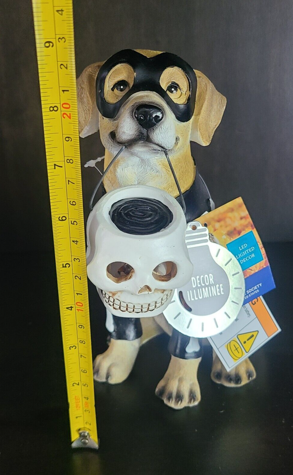 The Humane Society Trick Or Treating LABRADOR Dog Light Up Skull ...