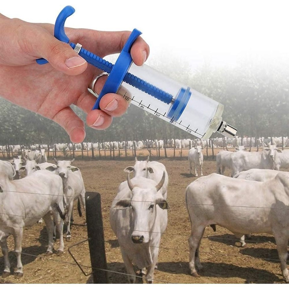 Blue Veterinary Syringe Plastic Animal Injections Animal Medical ...