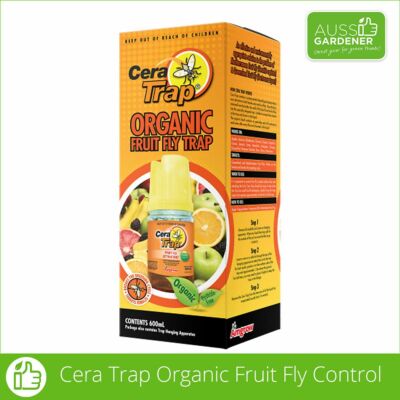 Cera Trap Organic Fruit Fly Trap - Very Effective at catching fruit fly ...