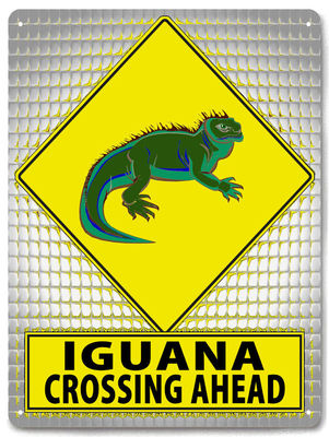 Iguana lizard street sign funny METAL SIGN pet reptile kids room wall ...