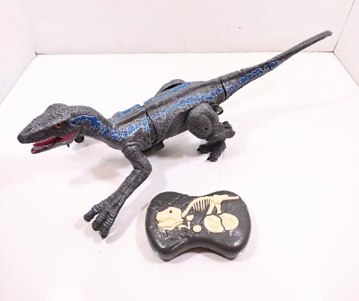Jurassic Velociraptor BLUE Roaring Dinosaur Dino Remote Control Toys ...