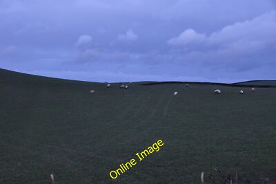 Photo 6x4 Mid Devon : Sheep Grazing Staple Cross/ST0320 A grassy field ...