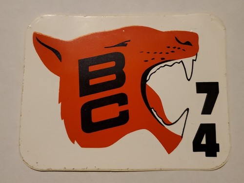 VINTAGE 1967-1977 B.C. LIONS CFL FOOTBALL HELMET DECAL LOGO STICKER | eBay