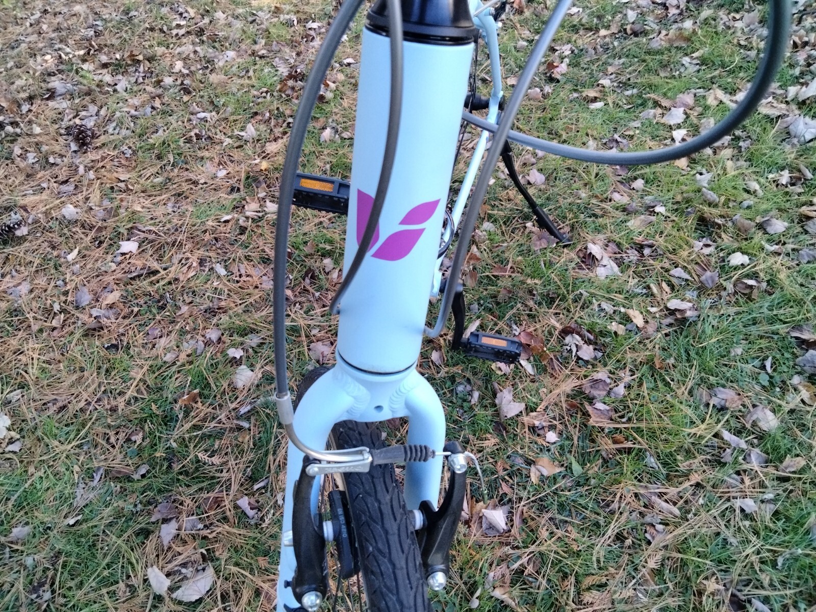 Liv ALIGHT Hybrid Bicycle WOMEN'S 24 Speed Blue Trekking Bike | eBay