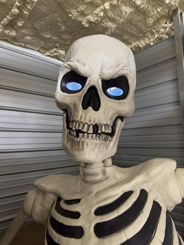 Costco Giant Ground Breaking Skeleton with LCD Eyes and Sound PICKUP ...