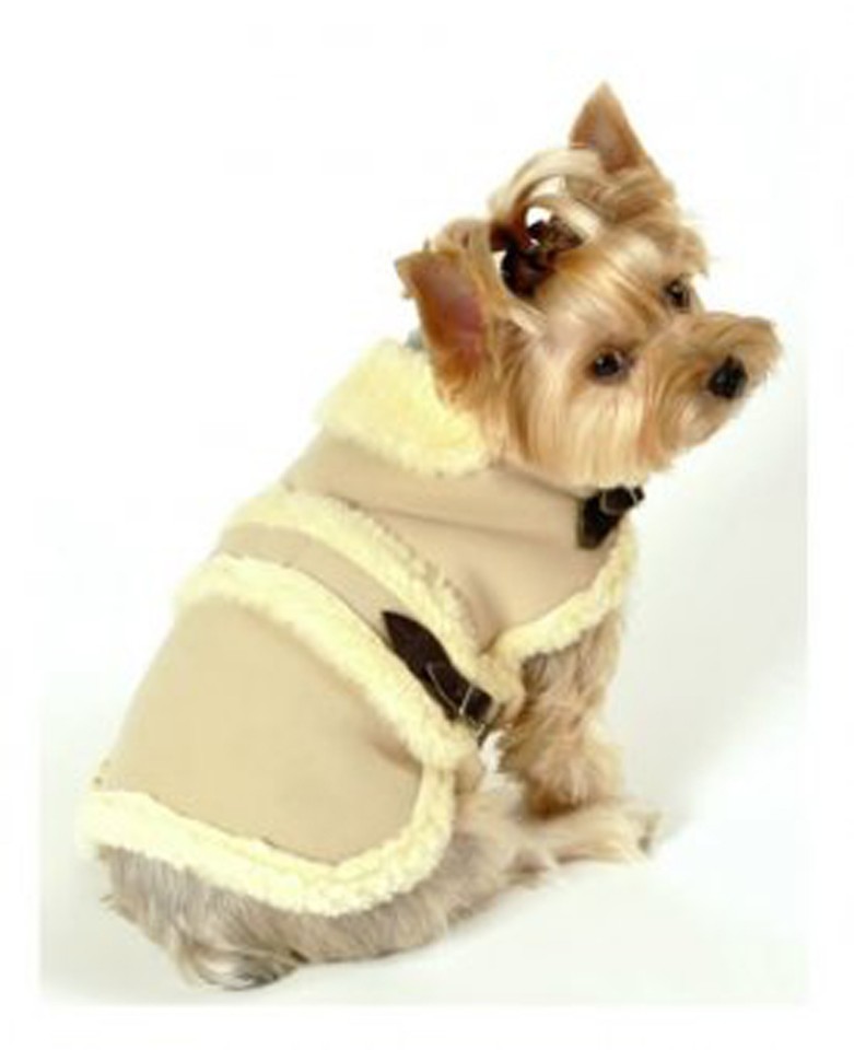 FLYING JACKET DOG COAT FUR LINED & LEATHER STRAPS - MADE IN THE UK | eBay