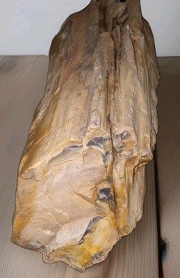 Petrified Wood Rough Log 17 lbs+ AZ | eBay