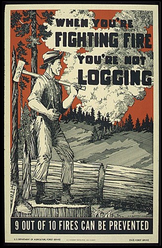 Forest Conservation Fire Prevention Propaganda Poster | eBay