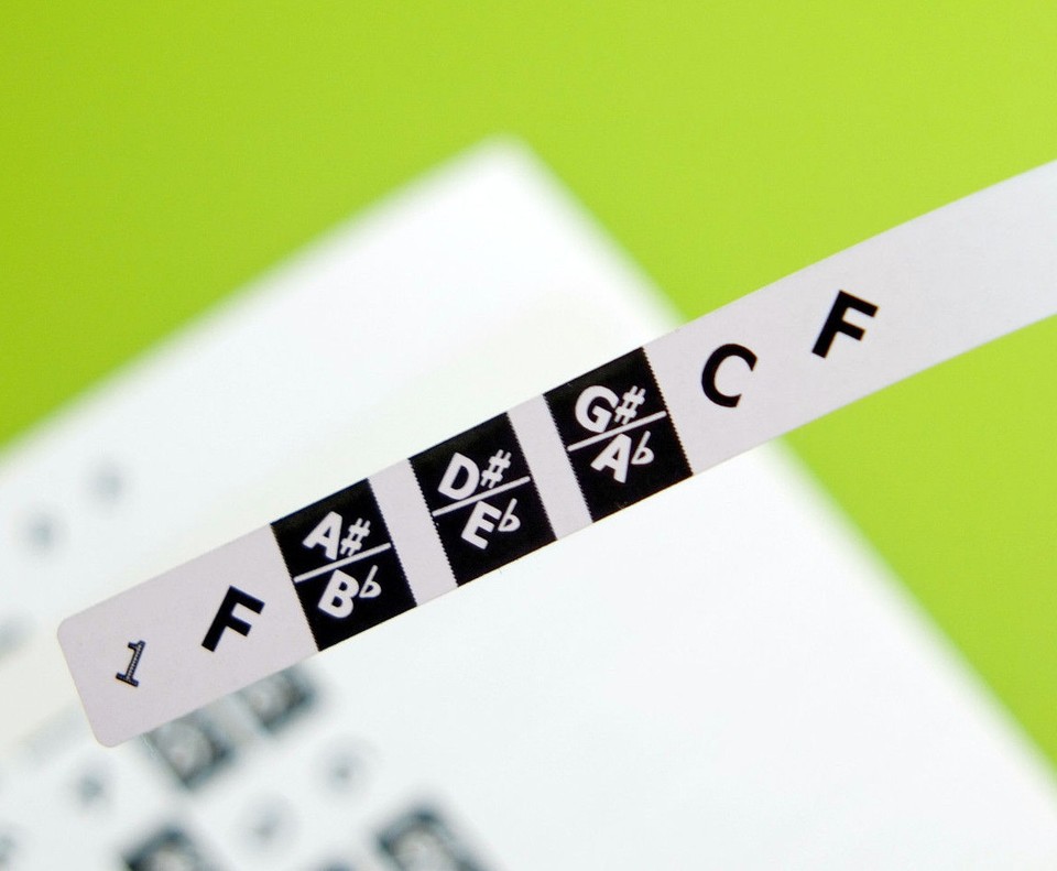 Guitar FRETBOARD NOTE STICKERS Learn Scales Fret Labels RH / LH Online ...